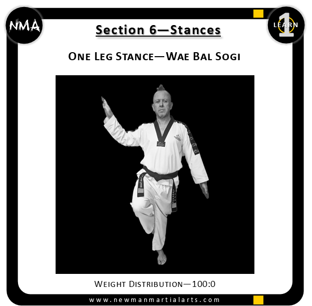 1st Dan Colour Flashcards – Newman Martial Arts