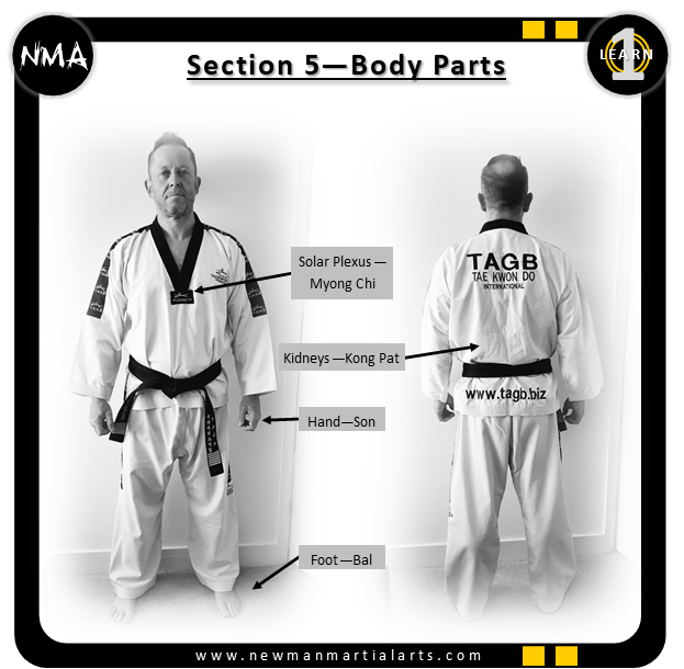 2nd Dan Colour Flashcards – Newman Martial Arts