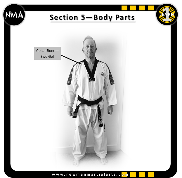 4th Dan Colour Flashcards – Newman Martial Arts