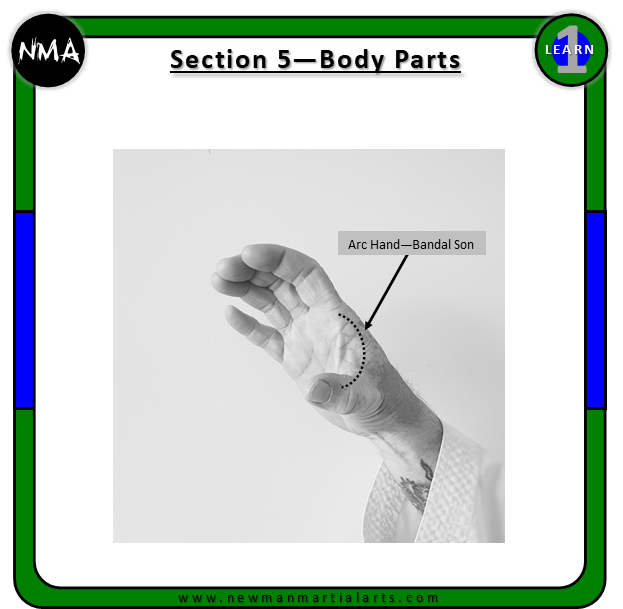 5th Kup Colour Flashcards – Newman Martial Arts