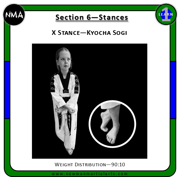 5th Kup Colour Flashcards – Newman Martial Arts